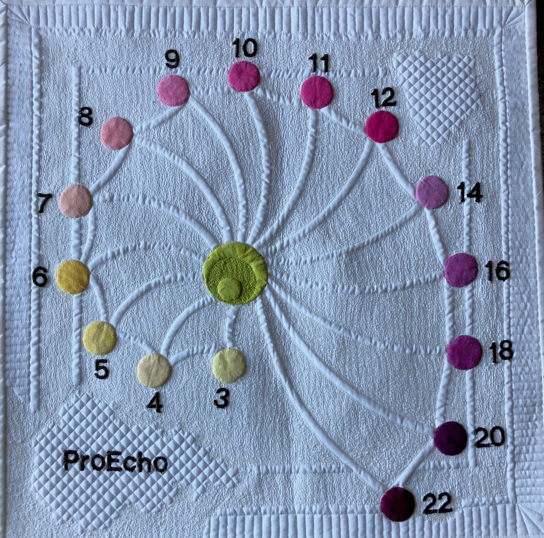 QG Rulers – Lisa H Calle